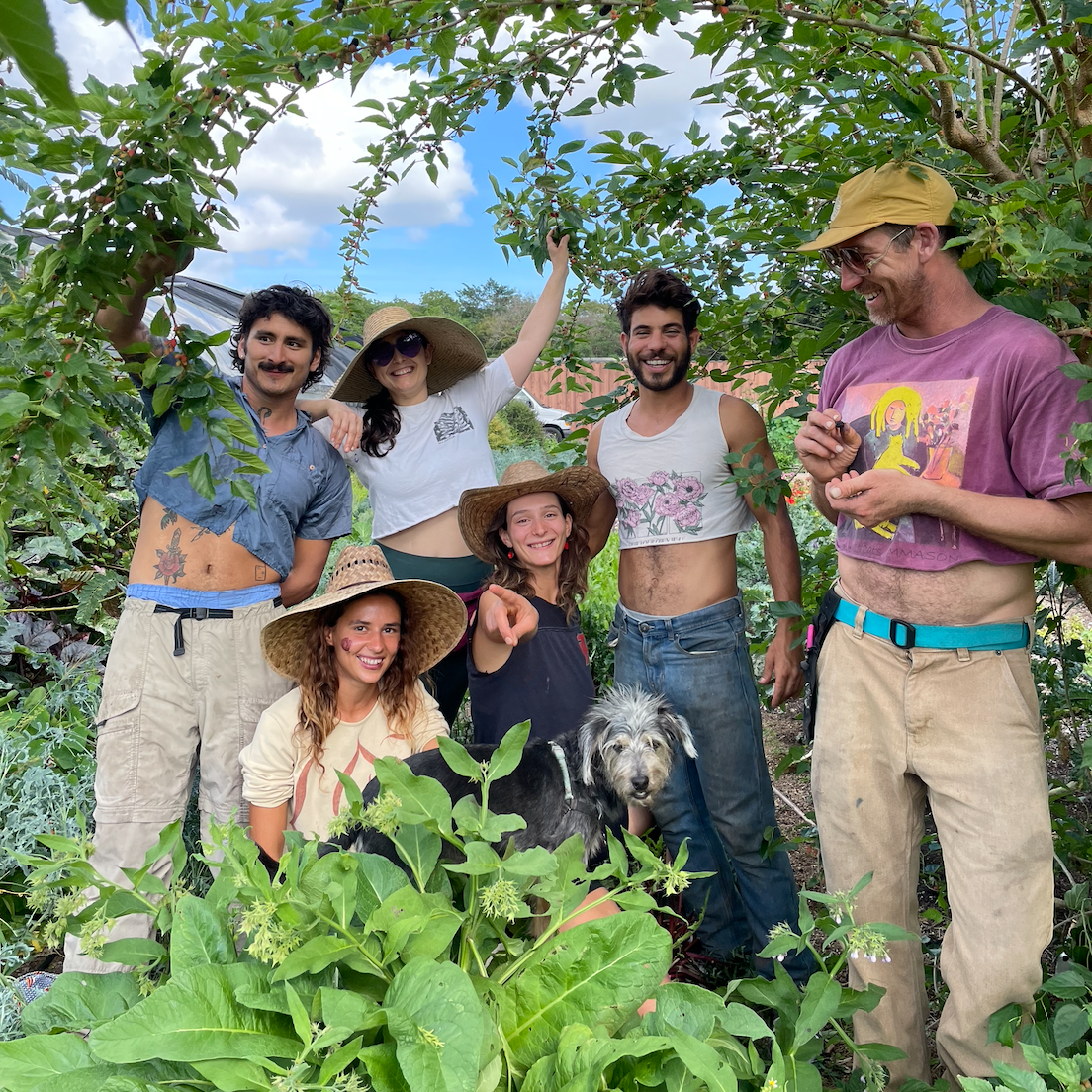 FrenchFarms